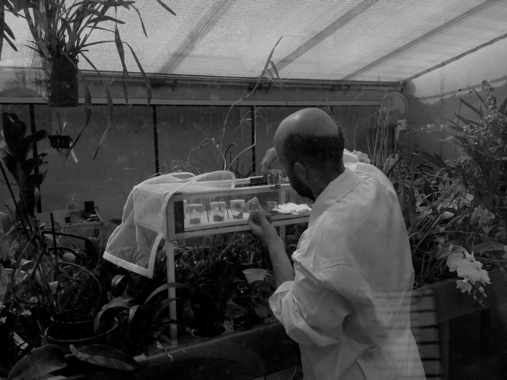 The butterfly mobile lab of Stefan Cools – We Make Money Not Art