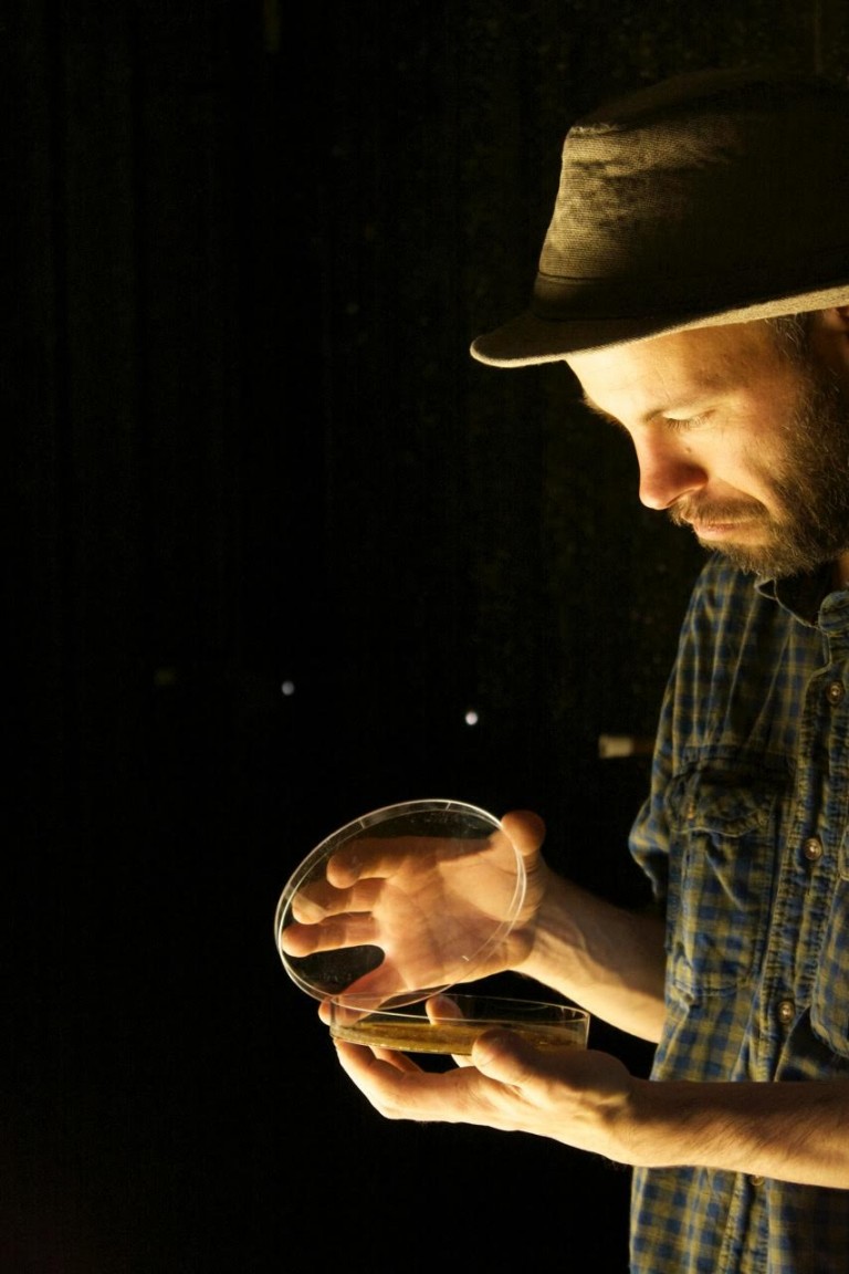 The butterfly mobile lab of Stefan Cools – We Make Money Not Art