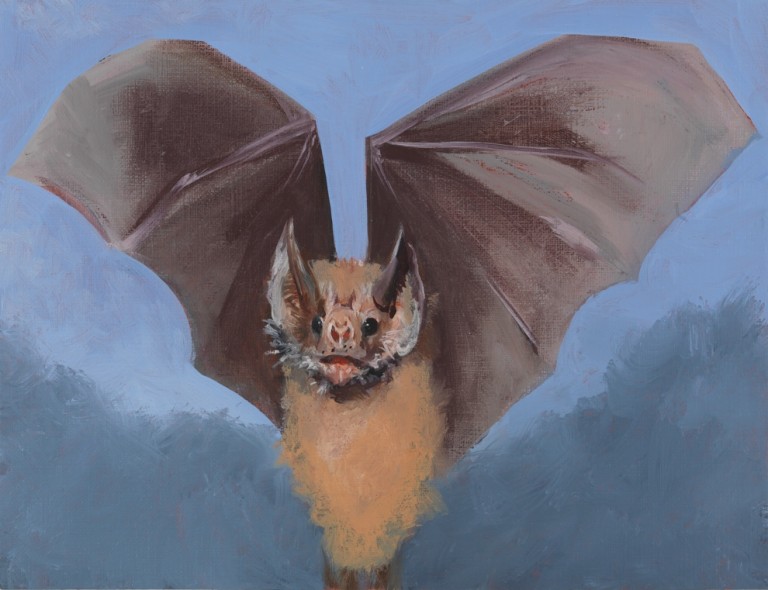 Because sometimes all you need is BATS – We Make Money Not Art