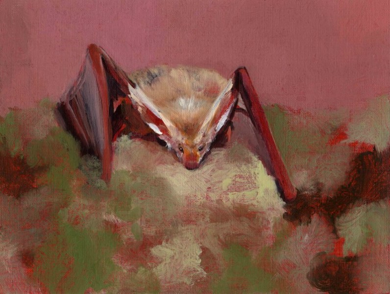 Because sometimes all you need is BATS – We Make Money Not Art