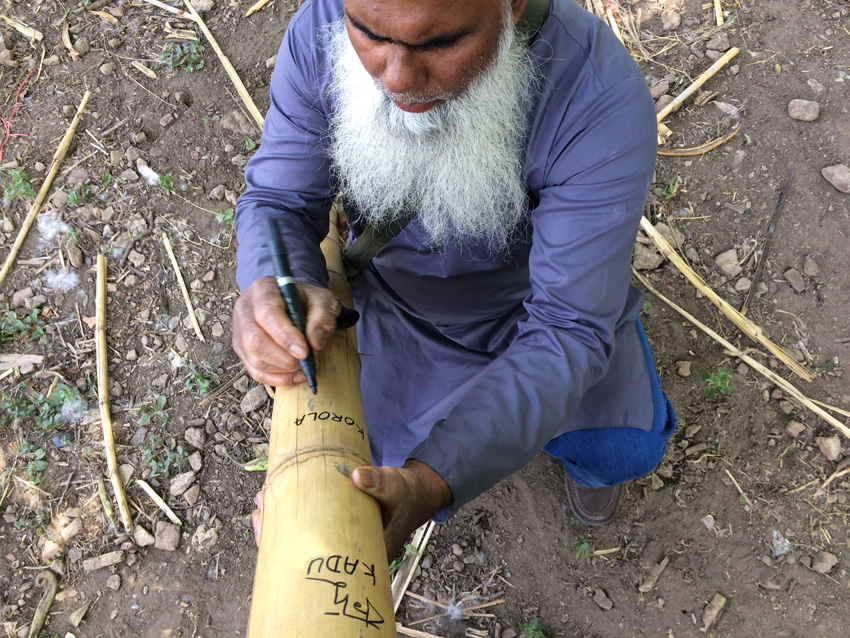 Future farming. How migrants can help Italian cuisine adjust to climate ...