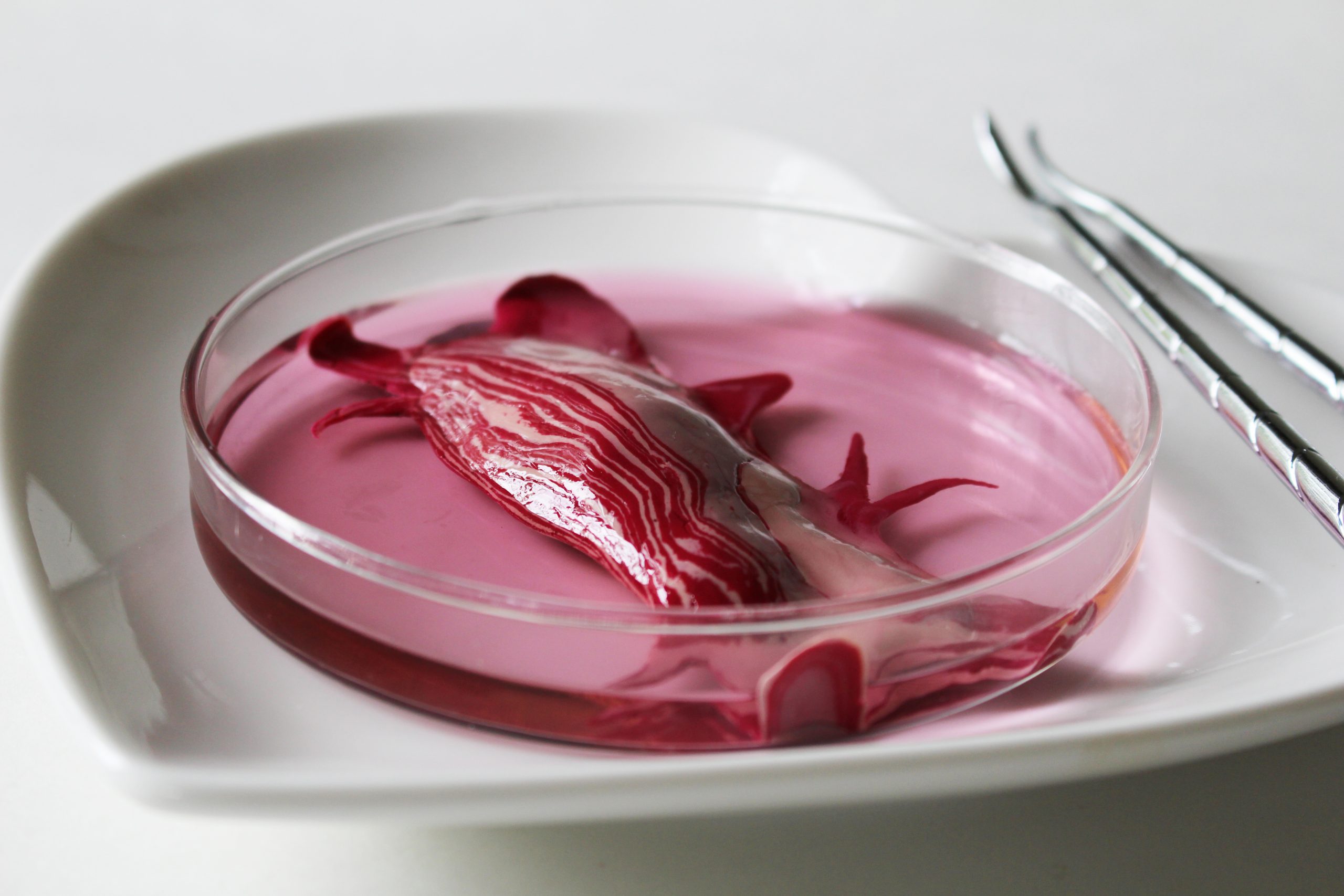 WhiteFeather Hunter, “The Witch in the Lab Coat” – We Make Money Not Art