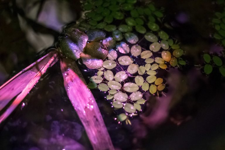 T Zero: A Roman view on art, science and society – We Make Money Not Art