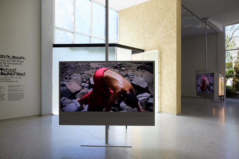 Orchidelirium. Colonialism through the lens of botany – We Make Money ...