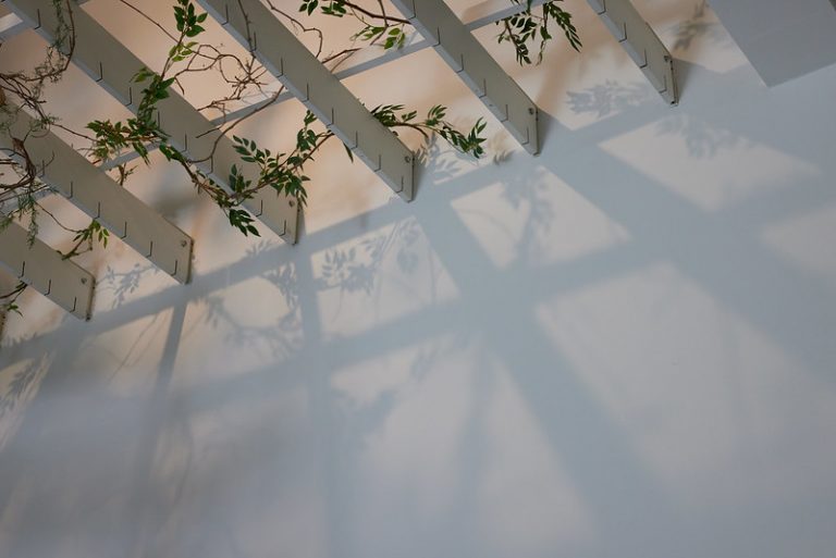 Orchidelirium. Colonialism through the lens of botany – We Make Money ...