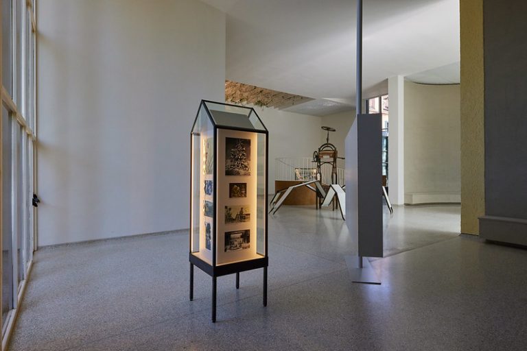 Orchidelirium. Colonialism through the lens of botany – We Make Money ...