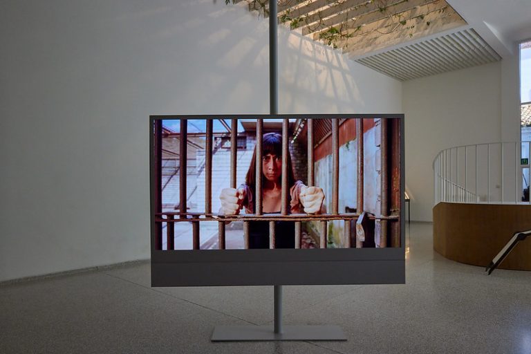 Orchidelirium. Colonialism through the lens of botany – We Make Money ...