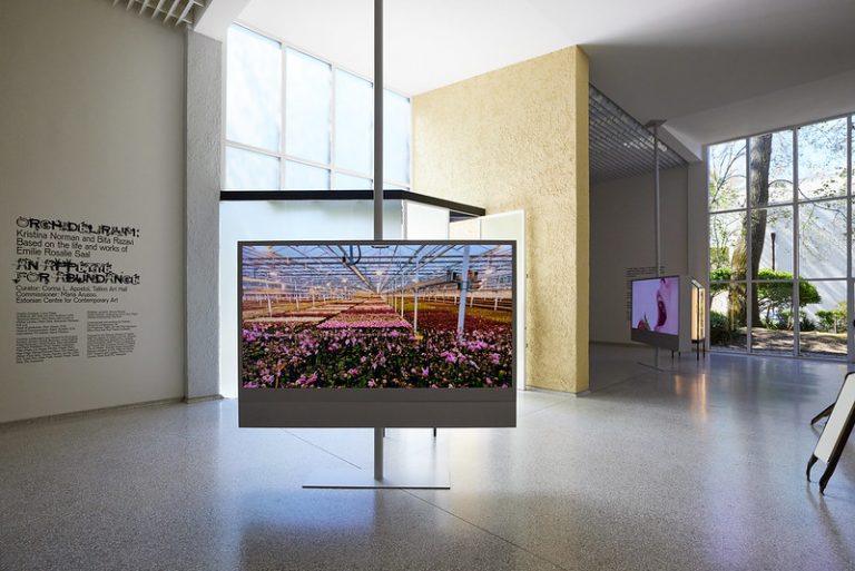 Orchidelirium. Colonialism through the lens of botany – We Make Money ...