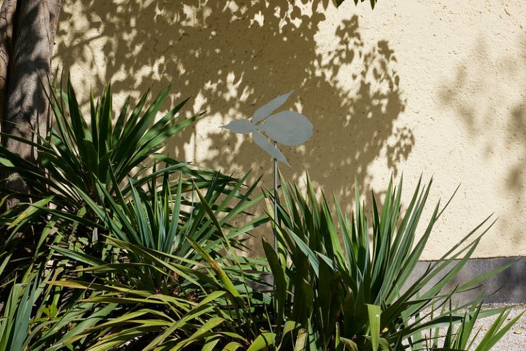 Orchidelirium. Colonialism through the lens of botany – We Make Money ...