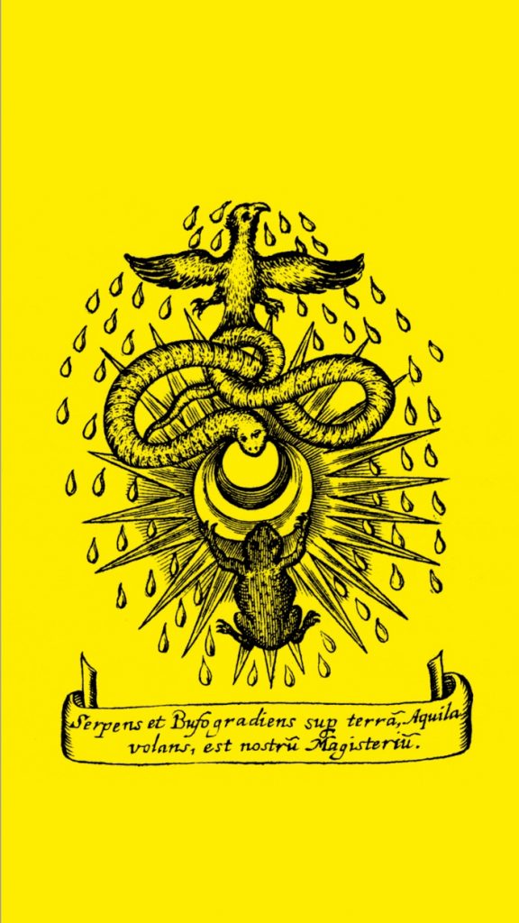 Interview with Cecilia Jonsson, the artist who extracts iron from invasive weeds – We Make Money ...